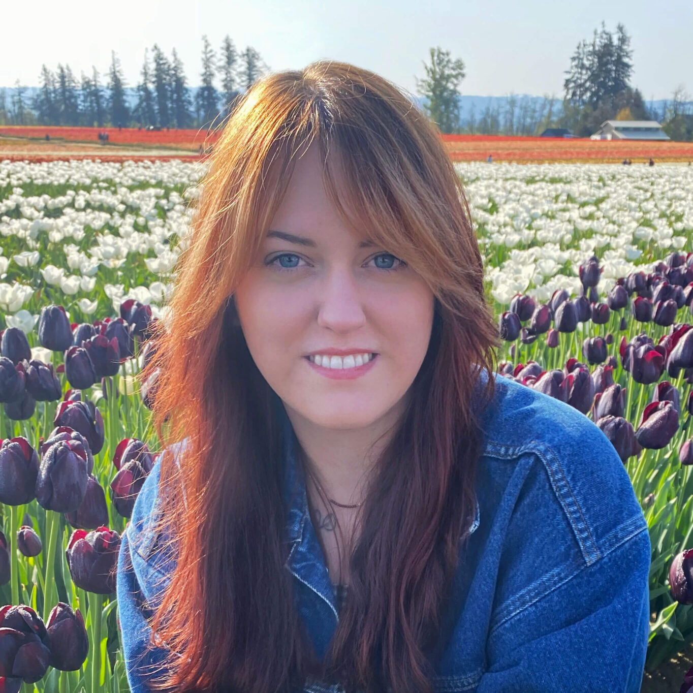 Culture - Skylight Collective